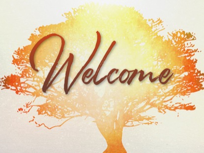 Tree Of Life Welcome Motion | Playback Media | WorshipHouse Media