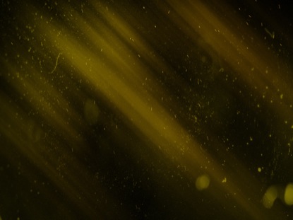 Yellow Slash | Playback Media | Playback Media Store