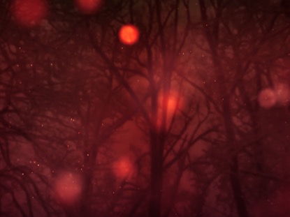 Winter Forest Mega Bundle | Social Light Multimedia | WorshipHouse Media