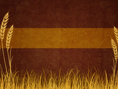 Wheat Background Powerpoint