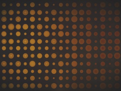 Circle Grid Orange | Igniter Media | WorshipHouse Media