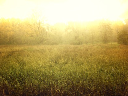 Fall Twilight Field | Igniter Media | WorshipHouse Media