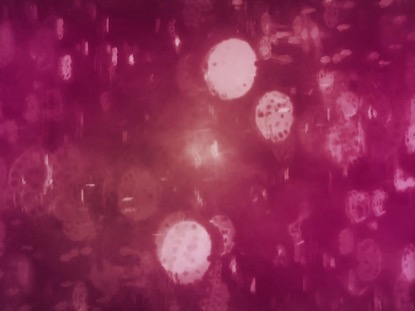 Streaked Bokeh Static Pink | Igniter Media | WorshipHouse Media