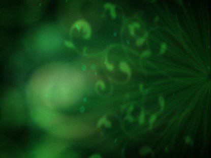 Radiance Collection | Melissa Smith | WorshipHouse Media