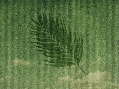 Believe: Palm Loop | Skit Guys Studios | WorshipHouse Media