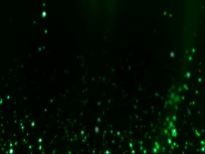 Green Fizz | Sword Point Productions | WorshipHouse Media