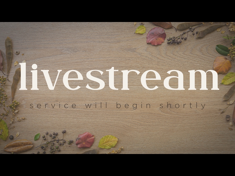 Abundance Livestream | Timber & Pearl | WorshipHouse Media