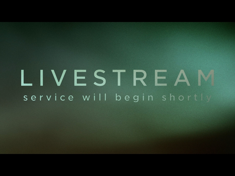 Autumn Rising Livestream | Timber & Pearl | WorshipHouse Media