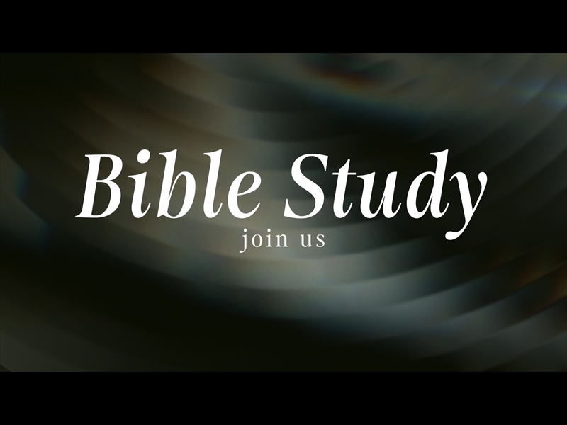Beacon Bible Study | Timber & Pearl | WorshipHouse Media