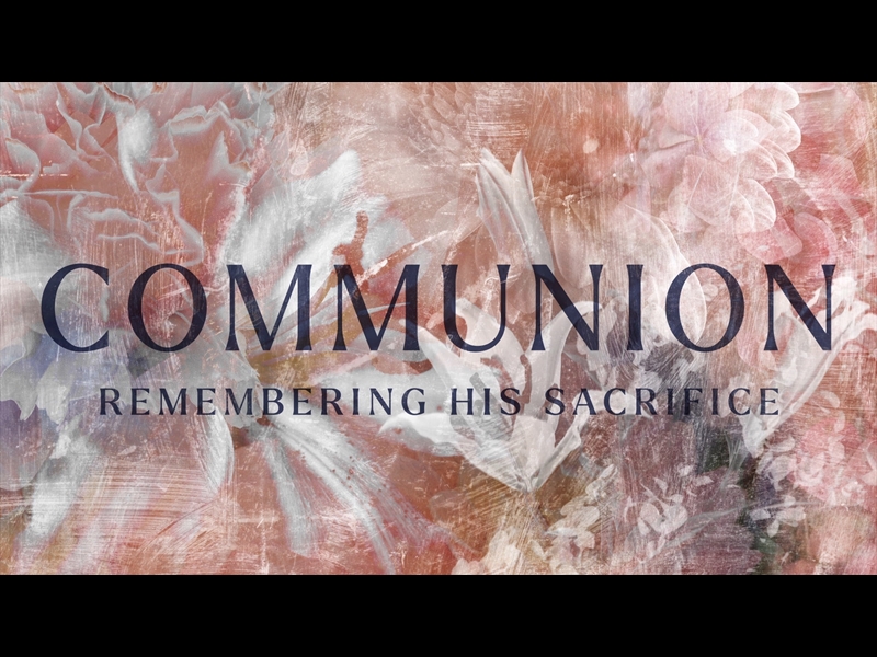 Bouquet Collection | Timber & Pearl | WorshipHouse Media