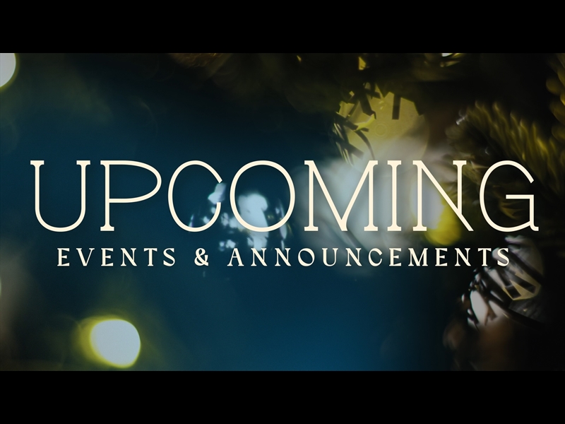 Bright And Beautiful Upcoming | Timber & Pearl | WorshipHouse Media