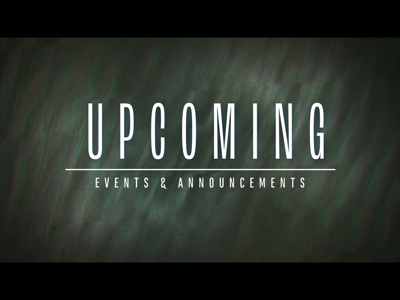 Color Fold Collection | Timber & Pearl | WorshipHouse Media