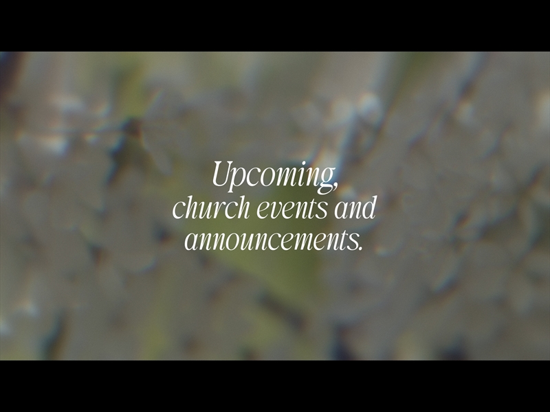 Daydream Upcoming | Timber & Pearl | WorshipHouse Media