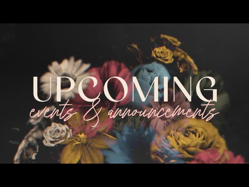 Deep Beauty Collection | Timber & Pearl | WorshipHouse Media