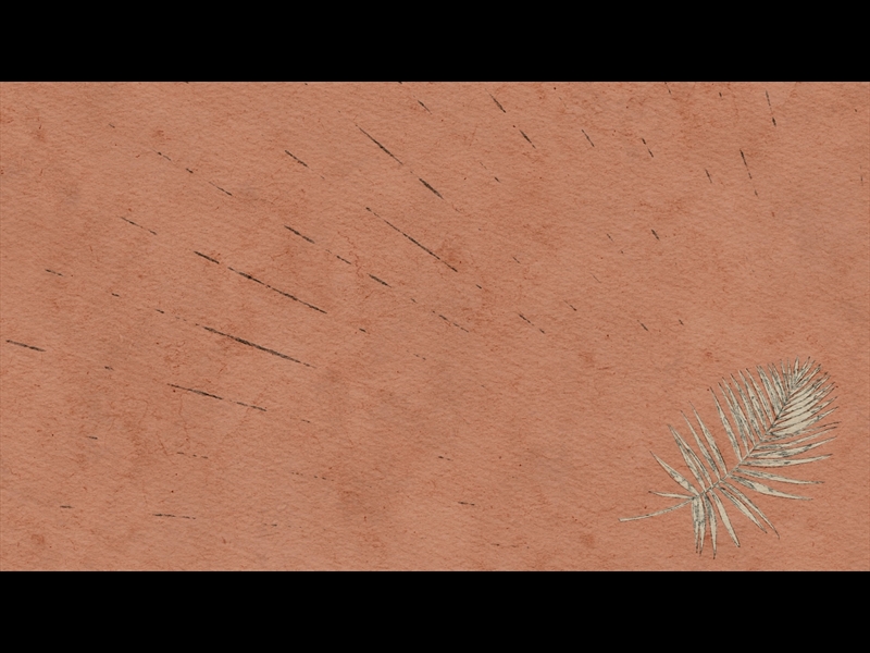 Drawn To Him Loop 02 | Timber & Pearl | WorshipHouse Media