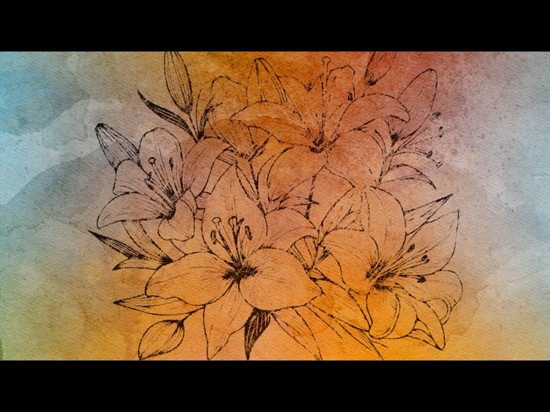 Easter Canvas Loop 03 | Timber & Pearl | WorshipHouse Media