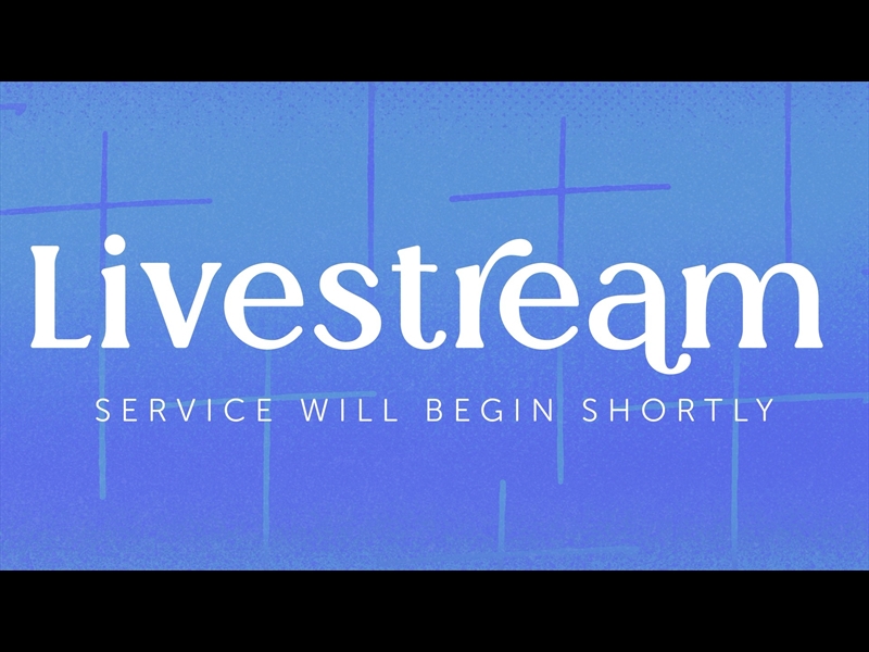 Easter Rise Collection | Timber & Pearl | WorshipHouse Media