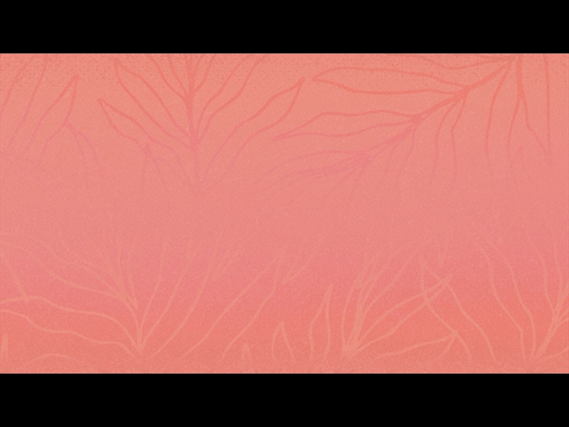 Easter Rise Collection | Timber & Pearl | WorshipHouse Media