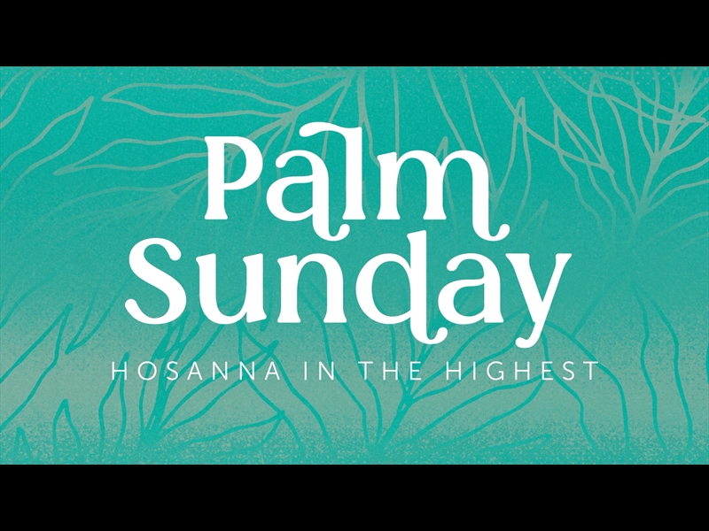 Easter Rise Palm Sunday | Timber & Pearl | WorshipHouse Media