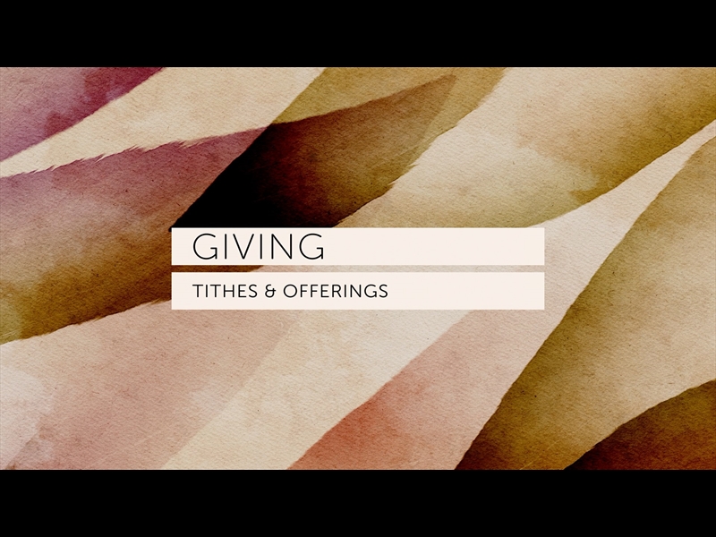 Fall Canvas Giving | Timber & Pearl | WorshipHouse Media