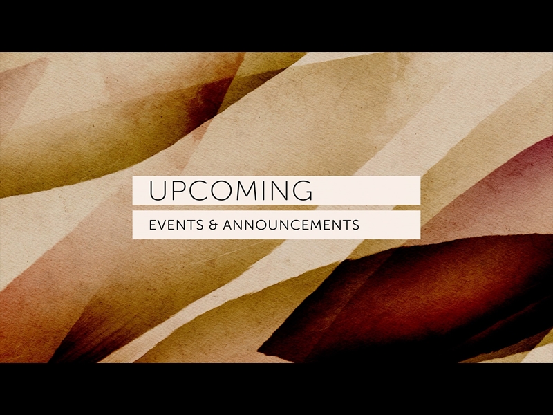 Fall Canvas Upcoming | Timber & Pearl | WorshipHouse Media