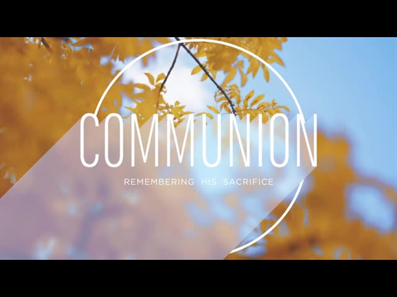 Fall Shadow Communion | Timber & Pearl | WorshipHouse Media