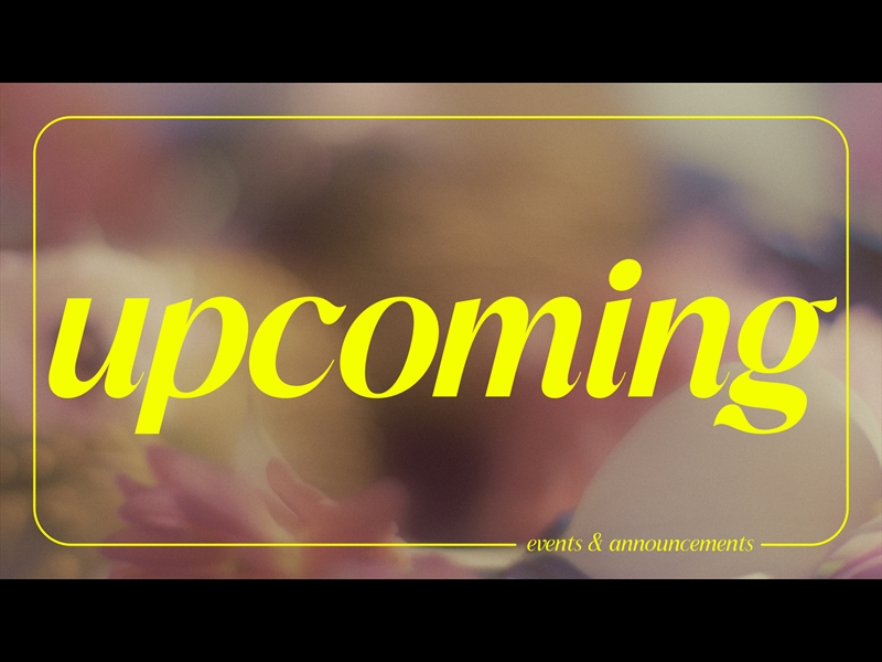 Flora Mae Collection | Timber & Pearl | WorshipHouse Media