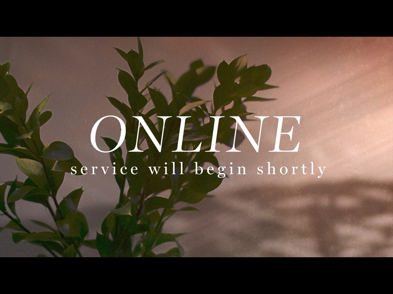 Flourish Collection | Timber & Pearl | WorshipHouse Media