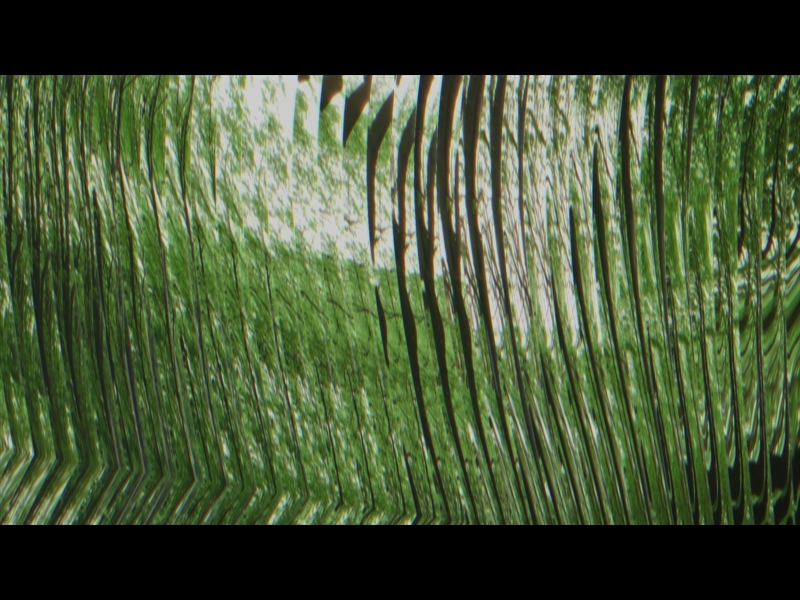 Force Of Nature Loop 05 | Timber & Pearl | WorshipHouse Media