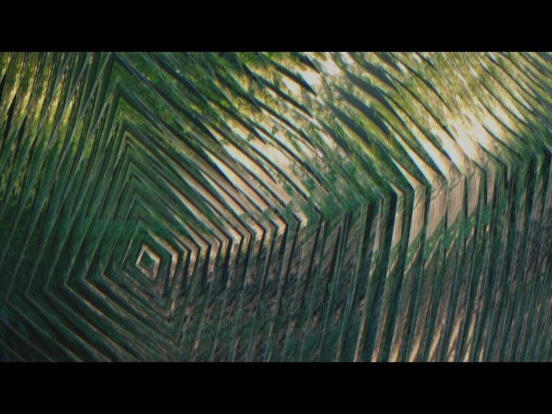 Force Of Nature Loop 07 | Timber & Pearl | WorshipHouse Media