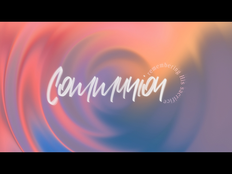 Forever Summer Collection | Timber & Pearl | WorshipHouse Media