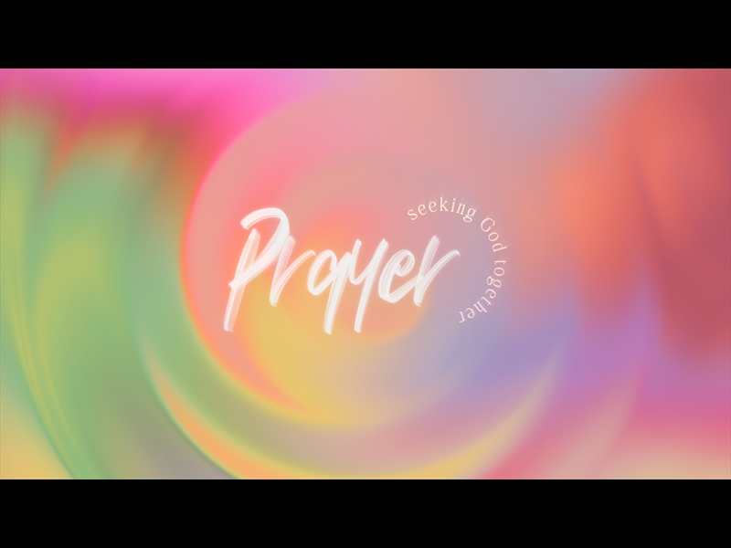 Forever Summer Collection | Timber & Pearl | WorshipHouse Media