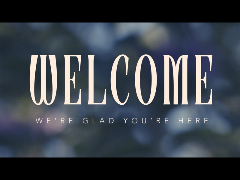 Gardenista Welcome | Timber & Pearl | WorshipHouse Media