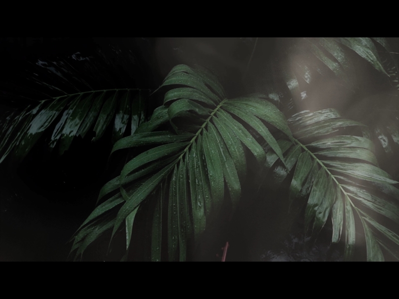 Page 2 | Trending Worship Backgrounds & Loops for Church | WorshipHouse ...