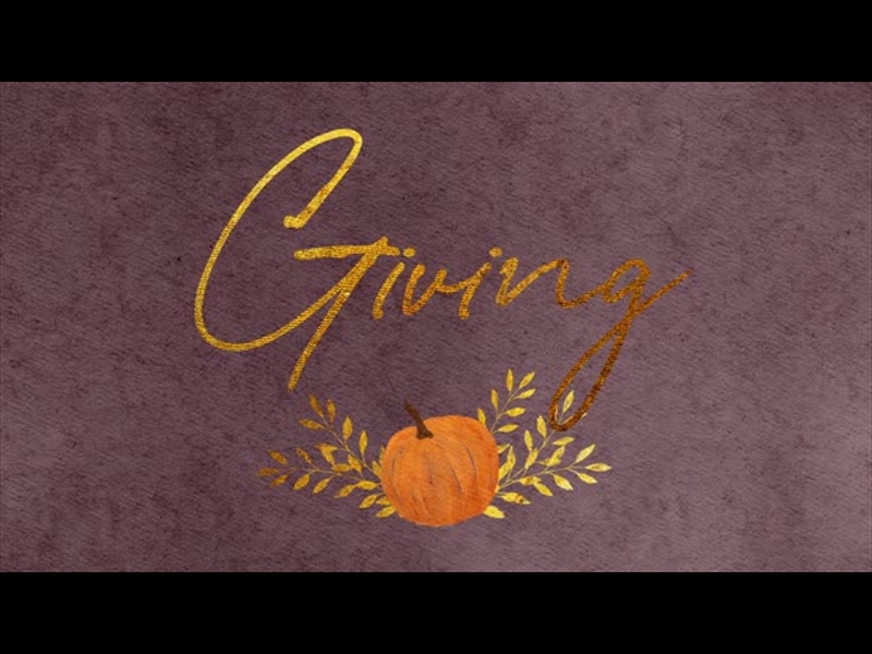 Harvest Pumpkin Giving | Timber & Pearl | WorshipHouse Media