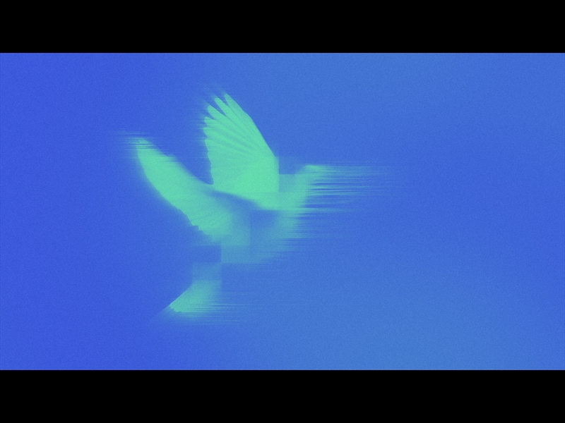 Holy Spirit Loop 05 | Timber & Pearl | WorshipHouse Media