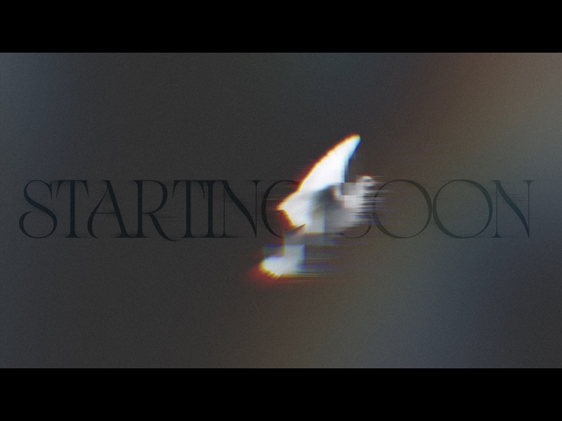 Holy Spirit Collection | Timber & Pearl | WorshipHouse Media