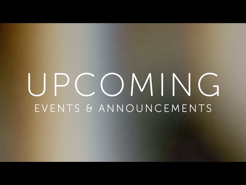 Light In The Dark Collection | Timber & Pearl | WorshipHouse Media