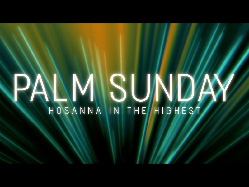 Light Ray Palm Sunday | Timber & Pearl | WorshipHouse Media