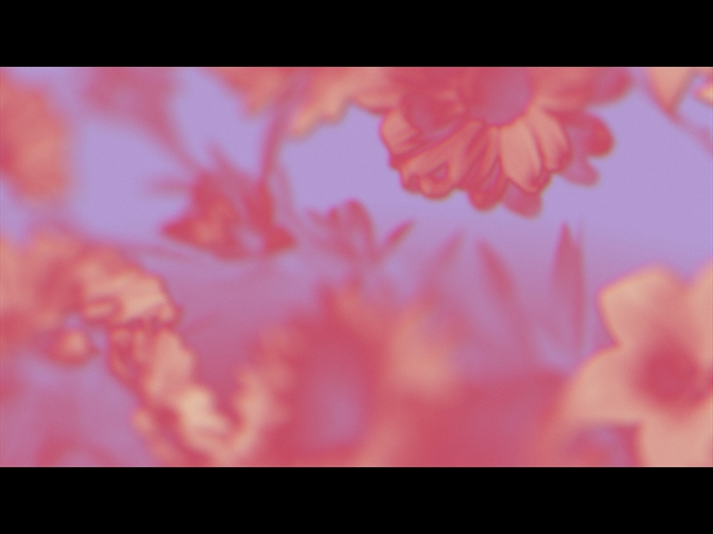 Made Beautiful Collection | Timber & Pearl | WorshipHouse Media