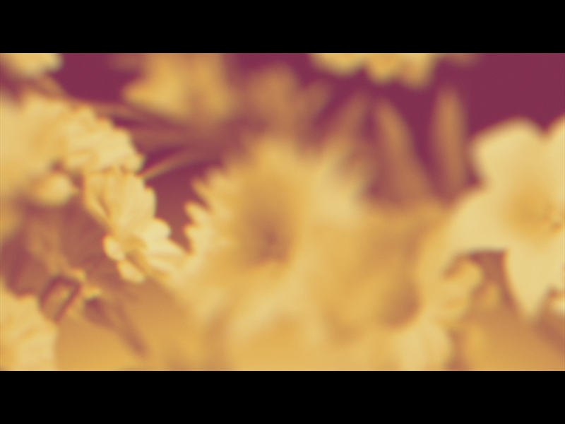 Made Beautiful Collection | Timber & Pearl | WorshipHouse Media