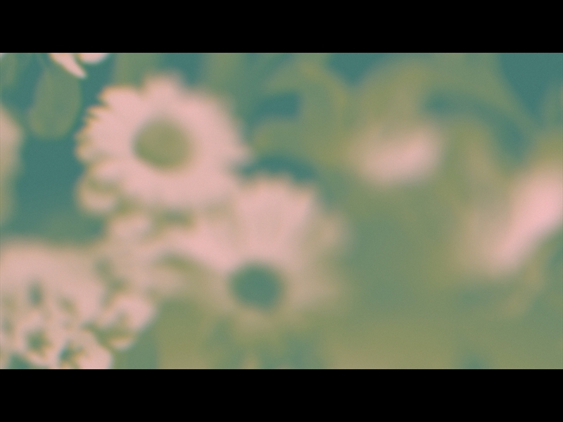 Made Beautiful Collection | Timber & Pearl | WorshipHouse Media