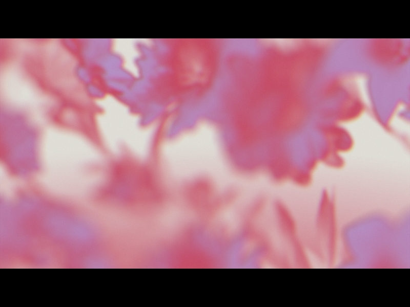 Made Beautiful Collection | Timber & Pearl | WorshipHouse Media