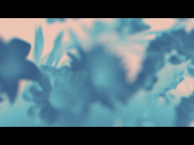 Made Beautiful Loop 06 | Timber & Pearl | WorshipHouse Media