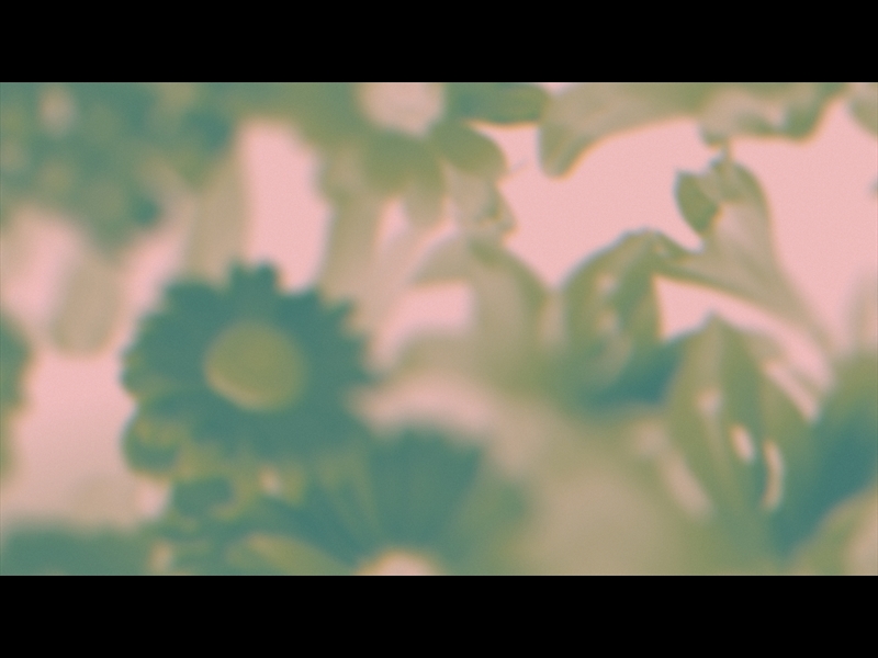 Made Beautiful Collection | Timber & Pearl | WorshipHouse Media