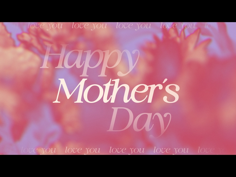 Made Beautiful Collection | Timber & Pearl | WorshipHouse Media