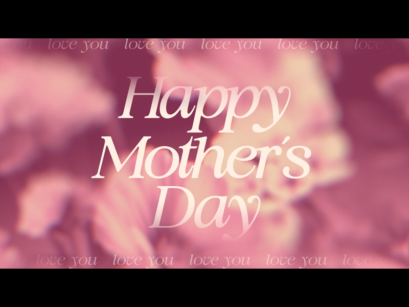 Made Beautiful Collection | Timber & Pearl | WorshipHouse Media