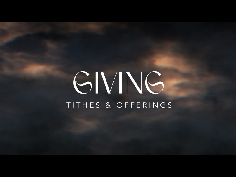 Night Light Collection | Timber & Pearl | WorshipHouse Media