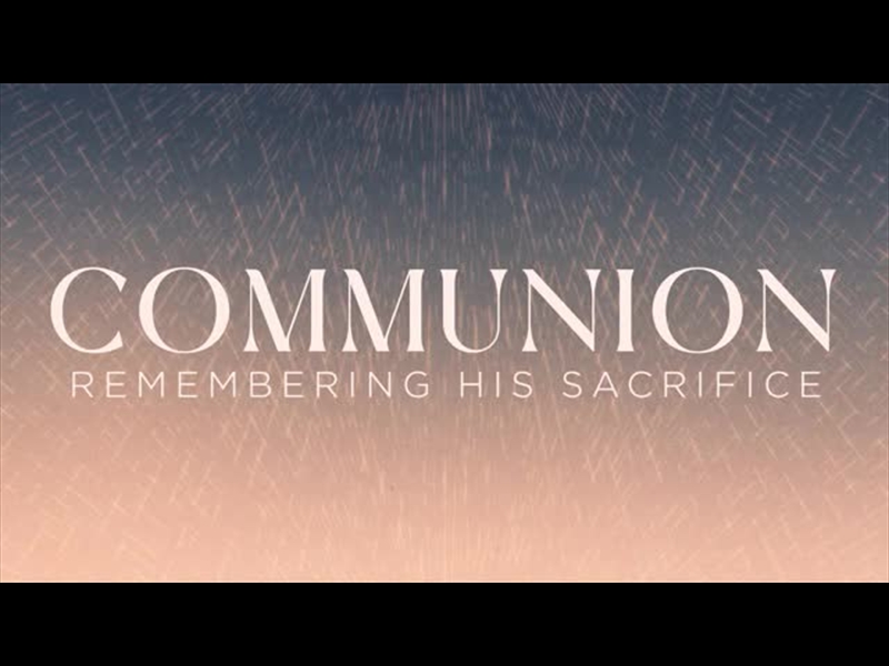 Reign Down Collection | Timber & Pearl | WorshipHouse Media