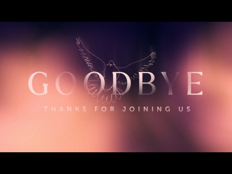 Soaring Collection | Timber & Pearl | WorshipHouse Media